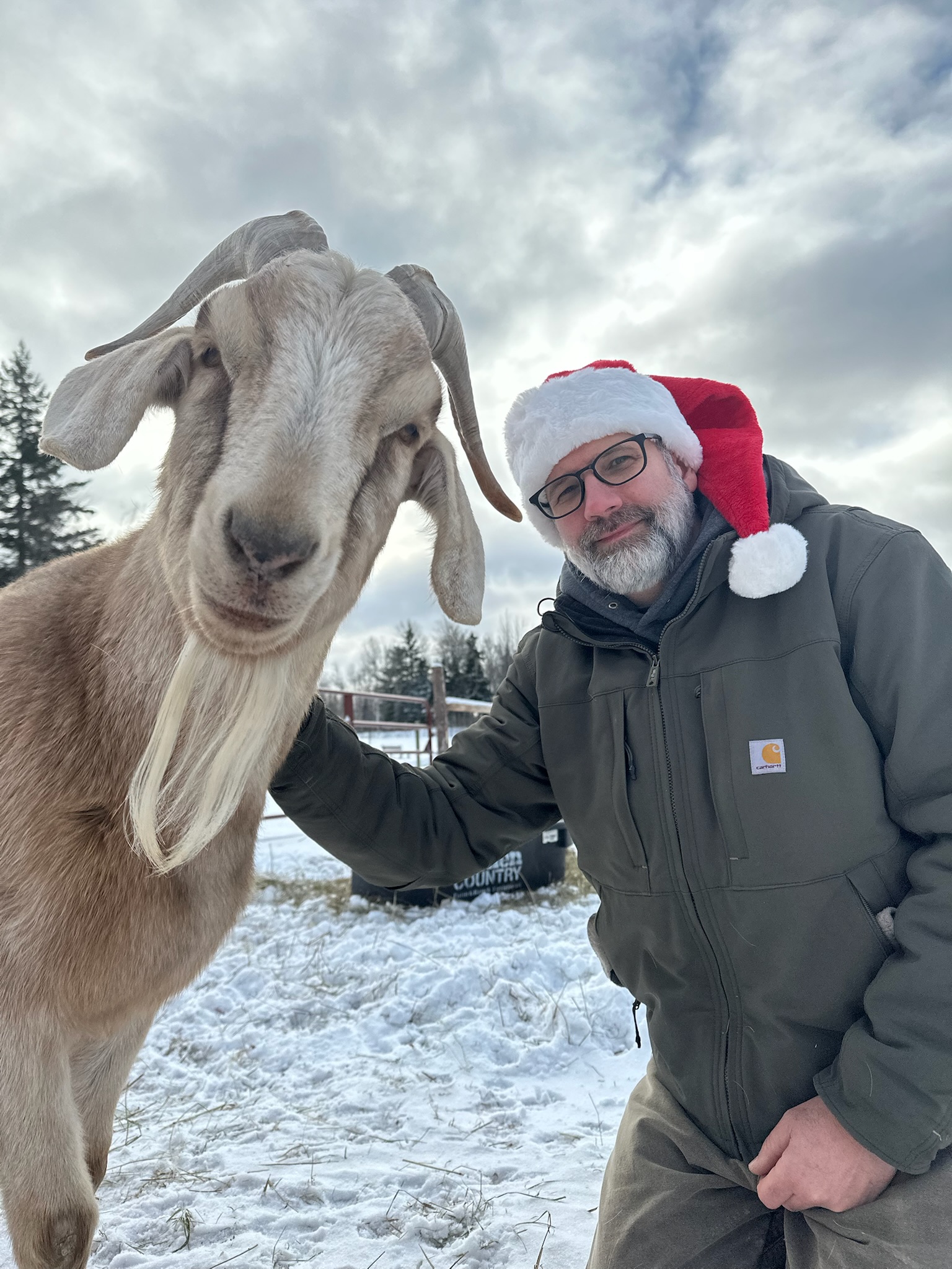 Merlin & Beatrice Update! - lilysplace.ca